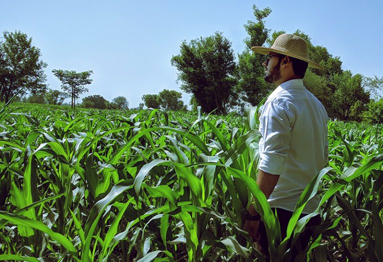 Services – Agrimatco